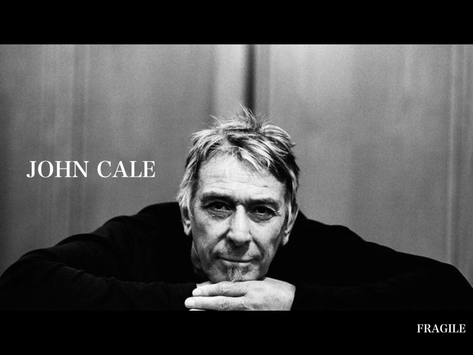 STORY OF JOHN CALE | Fragile フラジャイル 大阪